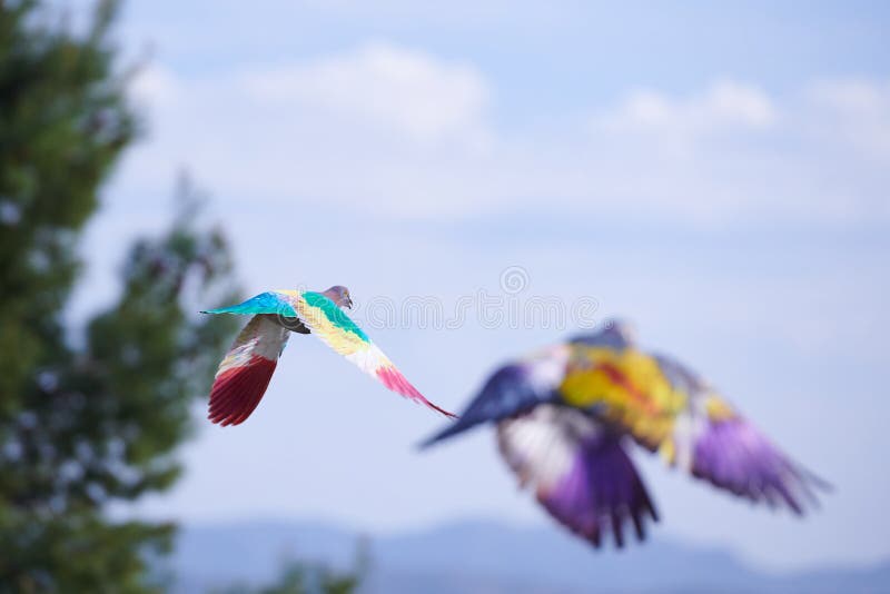 Colored birds flying stock image. Image of stained, feather - 242239983