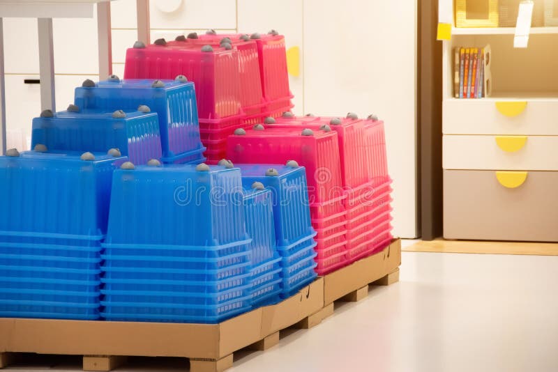 Colored Blue Pink Plastic Containers Containers with Wheels Lie in Each ...