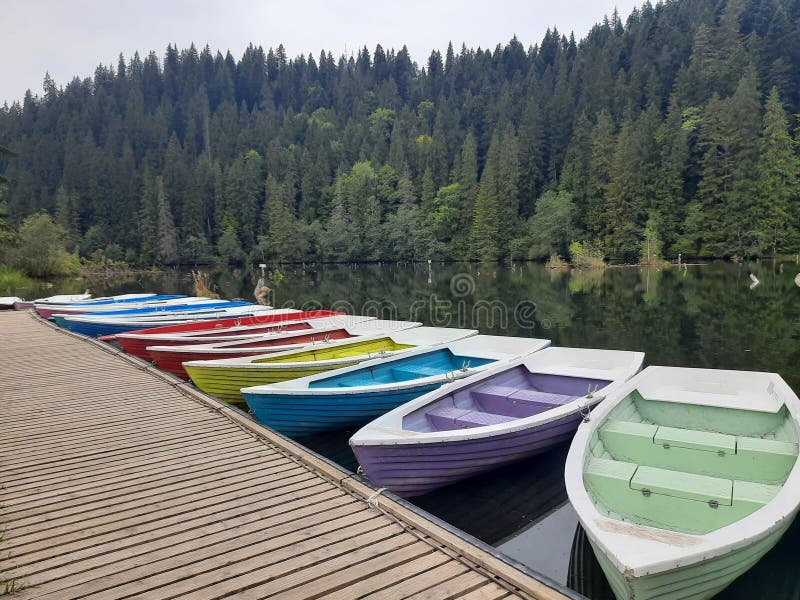 Lacul Rosu, Mountain Lake in Deep Forest Stock Image - Image of beach ...
