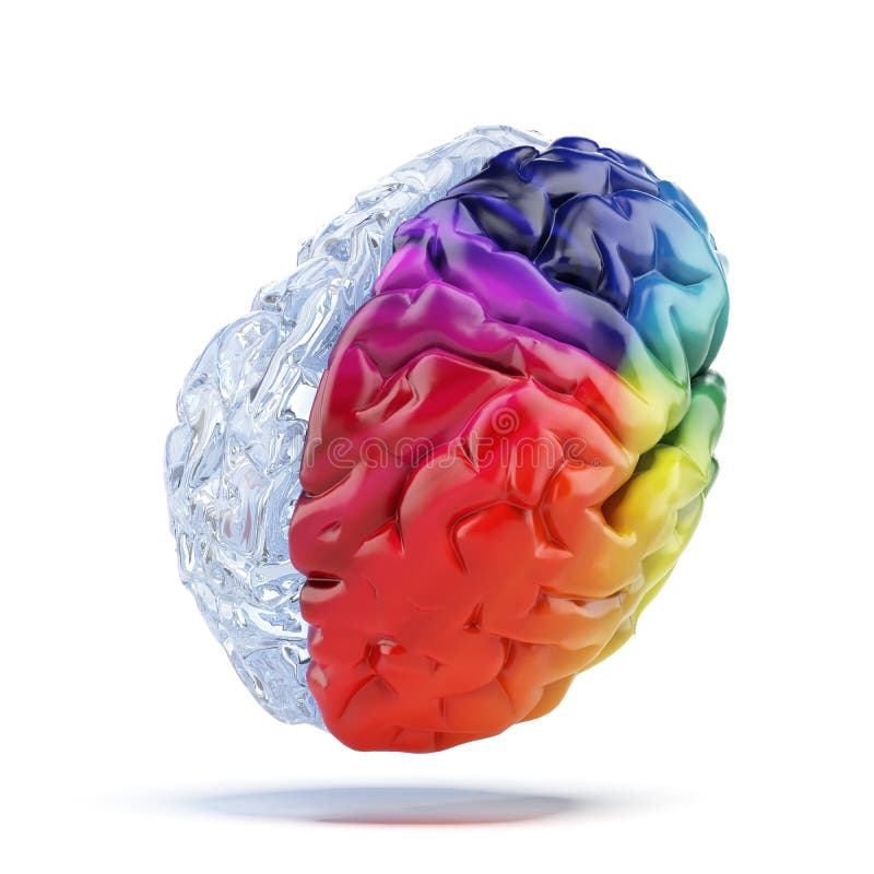 Colored brain stock illustration. Illustration of sequential - 38137611