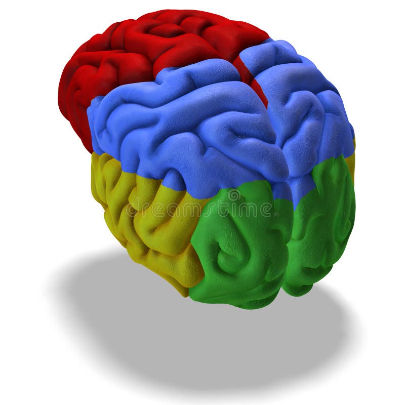 Colored brain stock illustration. Illustration of savvy - 6837441