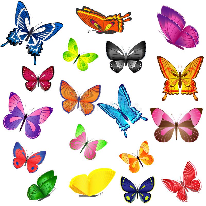 Big Collection of Colorful Butterflies. Stock Vector - Illustration of ...