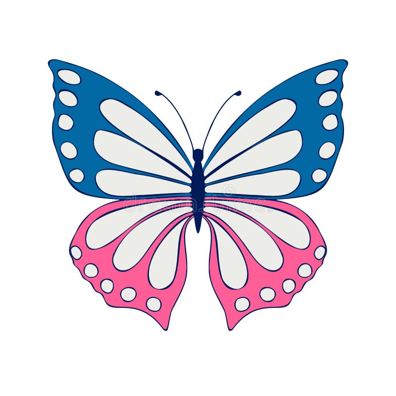Colored Butterfly , Vector Illustration, Icon. Butterfly Wings Side ...