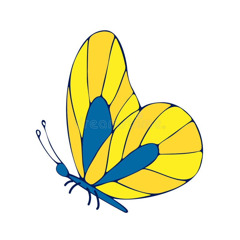 Simple Butterfly Drawing Side View