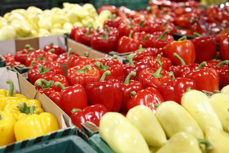 Colored Capsicum in a Grocery Stock Photo - Image of grocery, capsicum ...