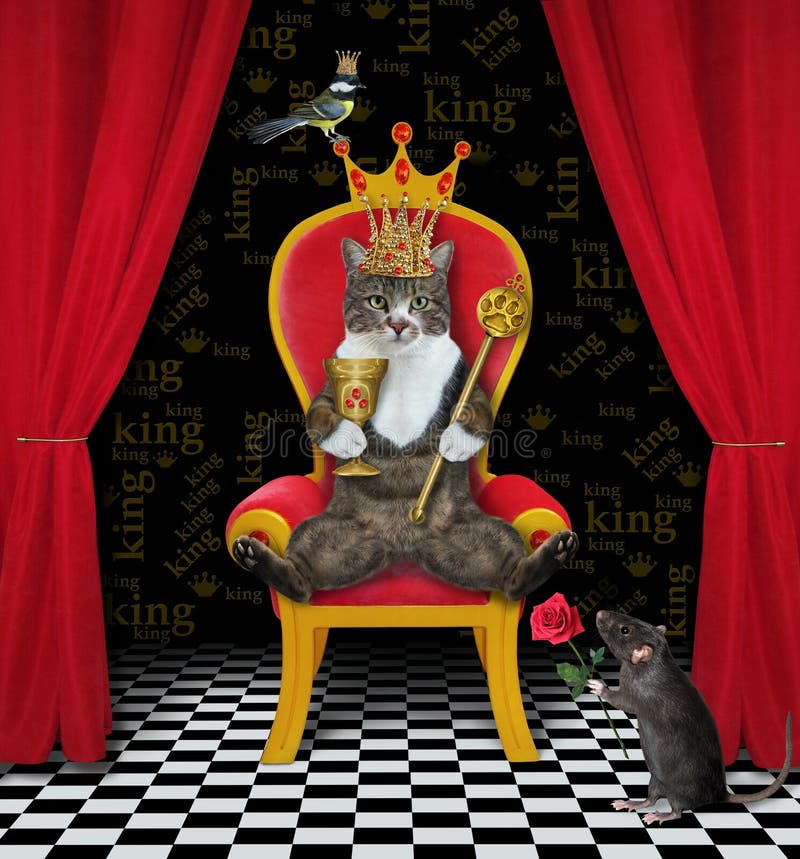 Cat Colored with Scepter in Red Throne 3 Stock Image - Image of ...