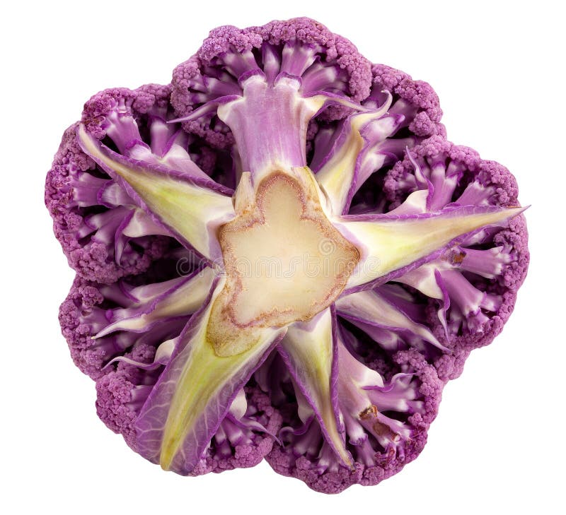 Colored cauliflower stock image. Image of ripe, cutout - 151427849