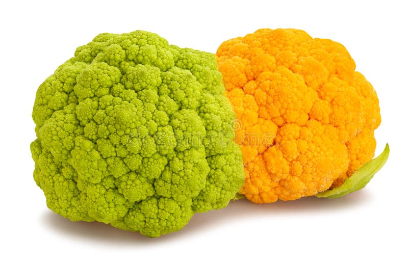 Colored cauliflower stock image. Image of colored, background - 151427973