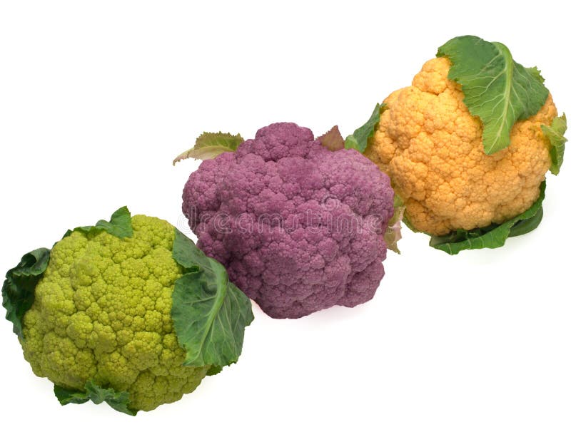 Colored Cauliflower Path Isolated on White Top View Stock Image - Image ...