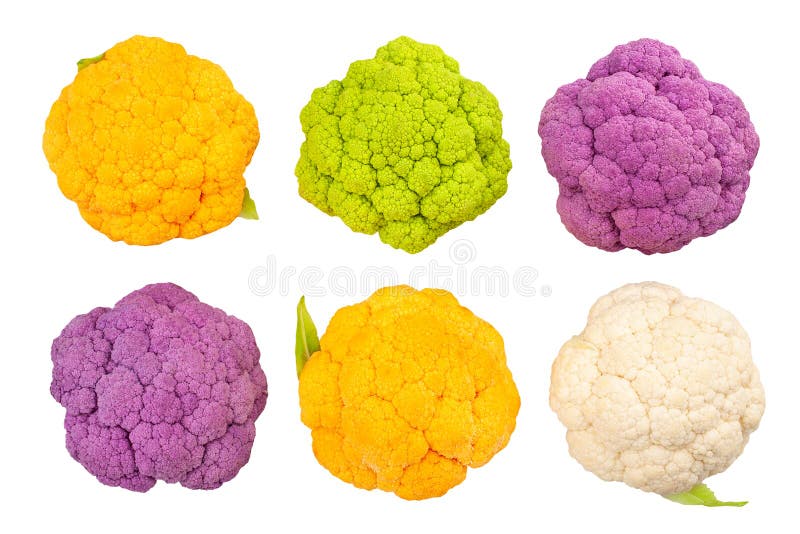 Colored cauliflower stock image. Image of isolated, purple - 151428185