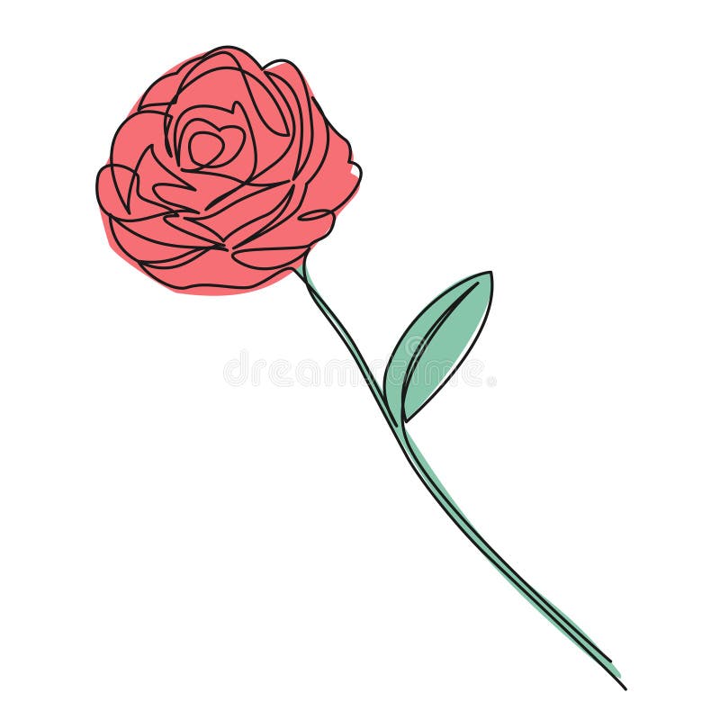 Colored Continuous Single Line Drawing of a Rose Stock Illustration ...