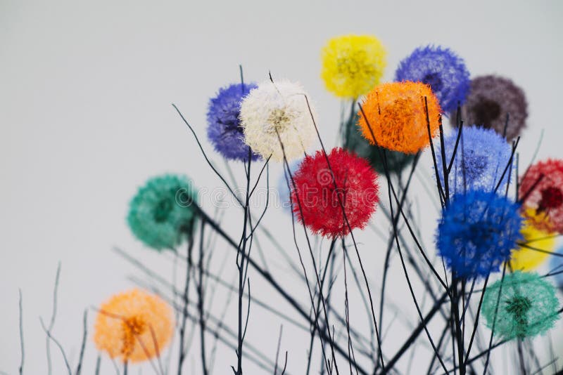 Colored dandelions stock photo. Image of bloom, evergreen - 47067104