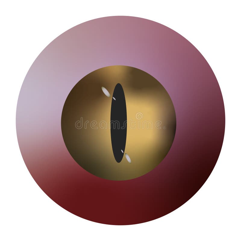 Colored Detailed Eyeball Vector Stock Vector - Illustration of lens ...