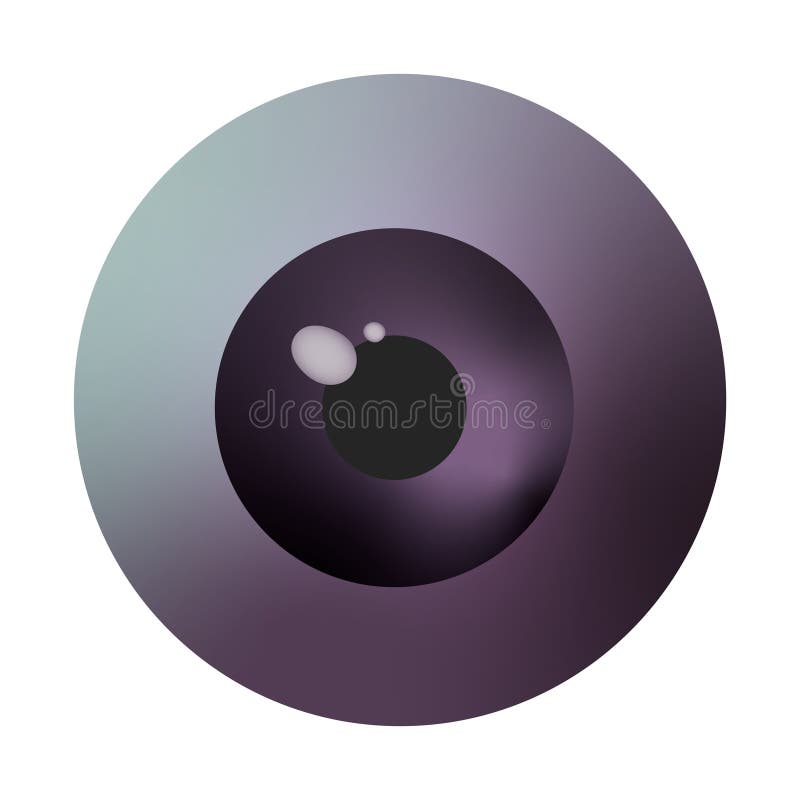 Colored Detailed Eyeball Vector Stock Vector - Illustration of optic ...
