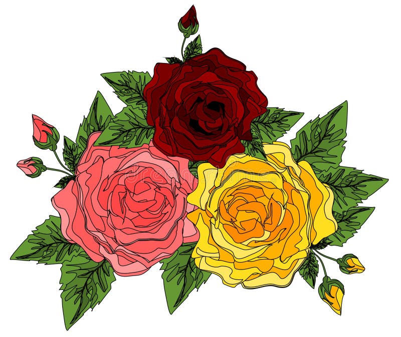 Three colored roses stock illustration. Illustration of boutique ...