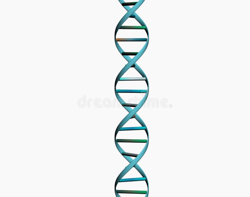 Colored double helix stock illustration. Illustration of erbsubstanz ...