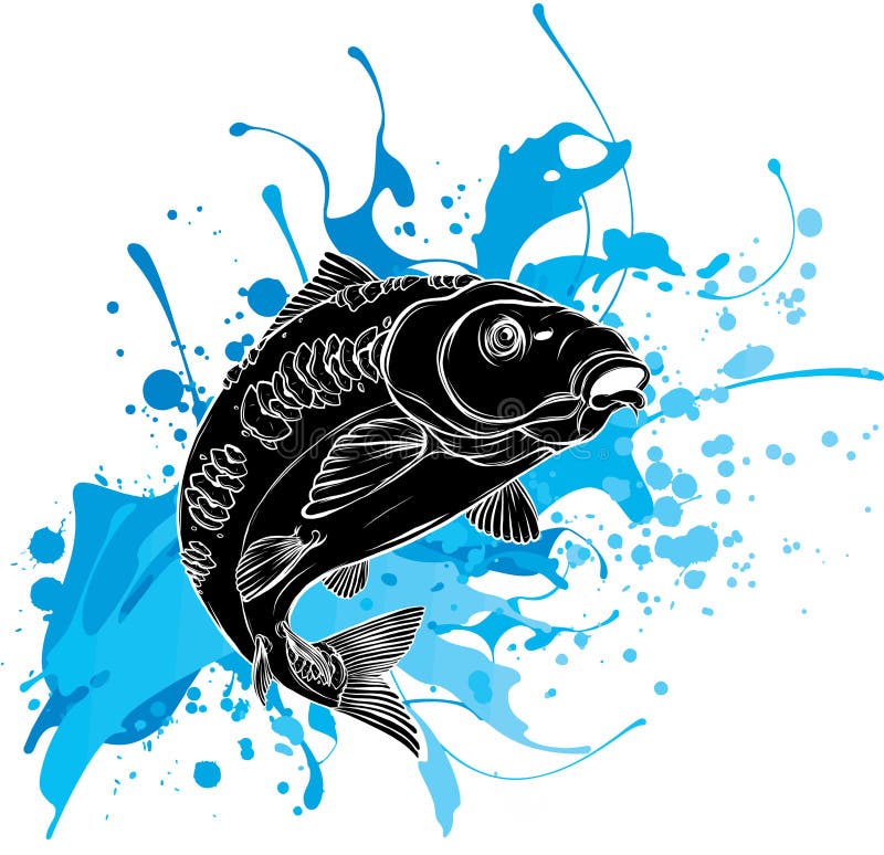 Colored Draw of Carp Fish Vector Illustration Design Stock Vector ...