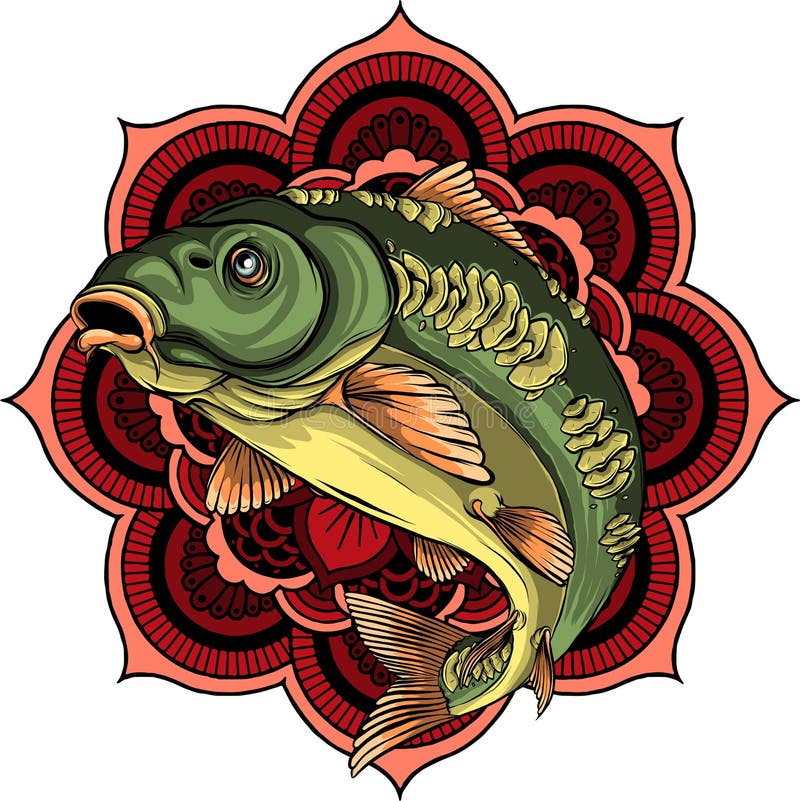 Colored Draw of Carp Fish Vector Illustration Design Stock Vector ...