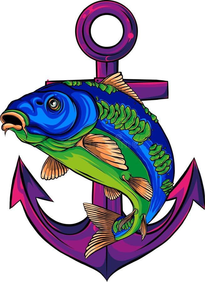 Colored Draw of Carp Fish Vector Illustration Design Stock Vector ...