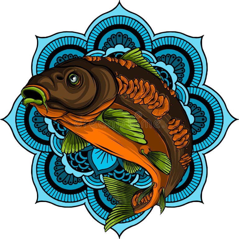 Colored Draw of Carp Fish Vector Illustration Design Stock Vector ...