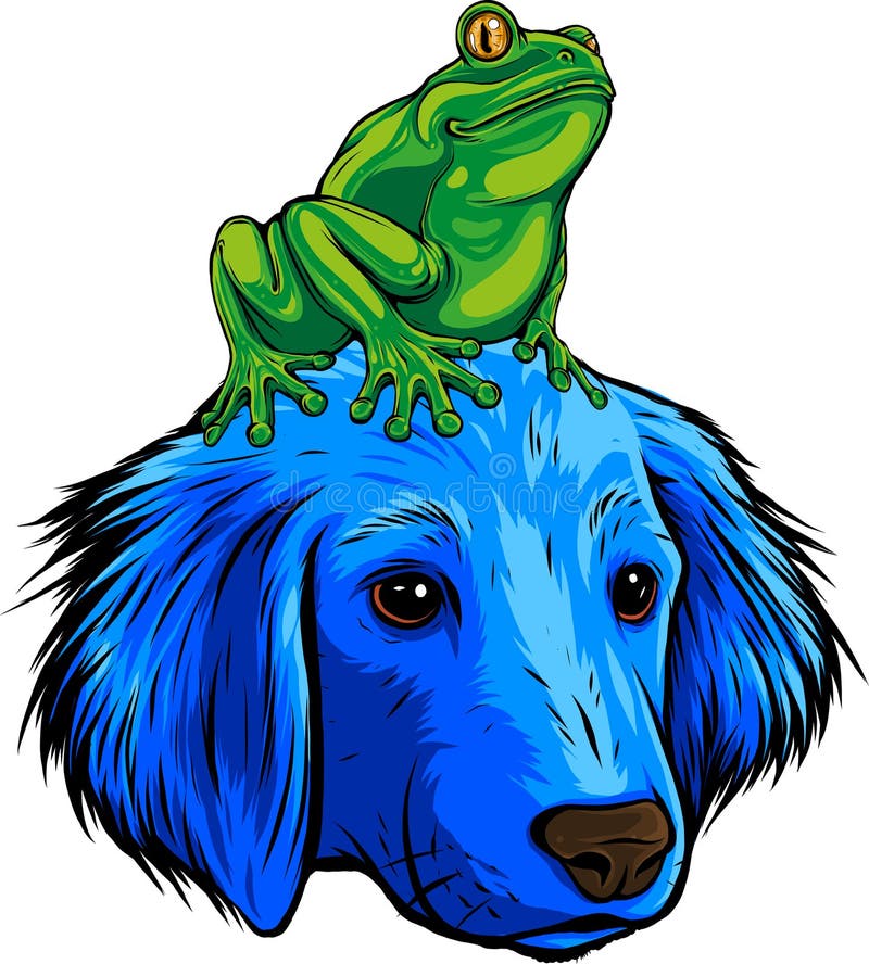 Colored Draw of Frog Vector Illustration Design Stock Vector ...