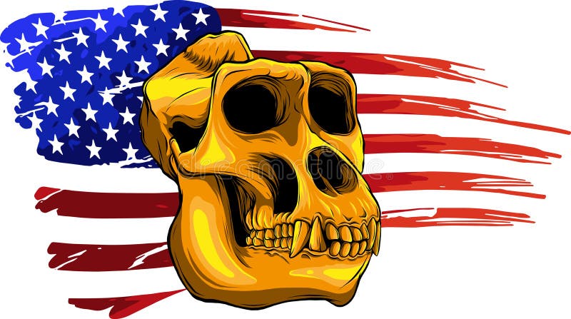 Colored Draw of Monkey Skull Vector Illustration Design Stock Vector ...