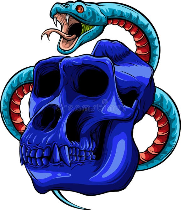 Colored Draw of Monkey Skull Vector Illustration Design Stock Vector ...