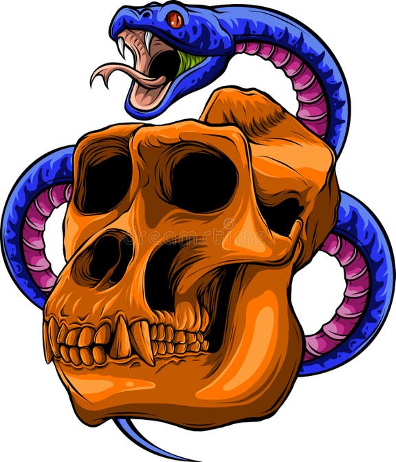 Colored Draw of Monkey Skull Vector Illustration Design Stock Vector ...