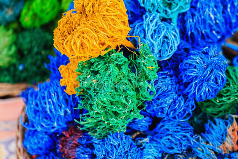 Colored dried algae stock photo. Image of green, nature - 126661714