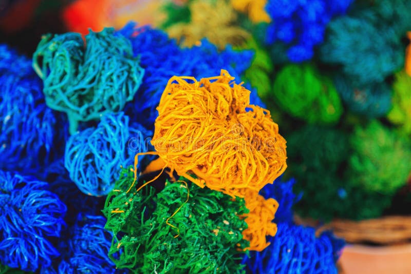 Colored dried algae stock photo. Image of outdoors, green - 126661730