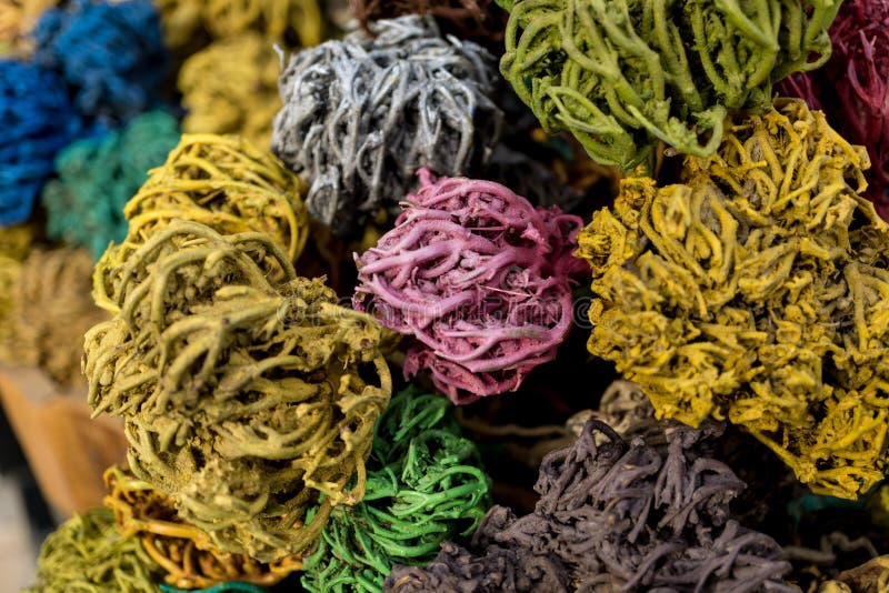 Colored Dried Seaweed Shaped into Decorative Balls Stock Image - Image ...
