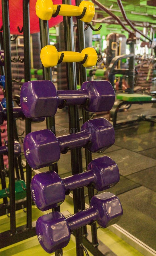 Colored Dumbbells in the Gym Stock Image - Image of icon, body: 94612811