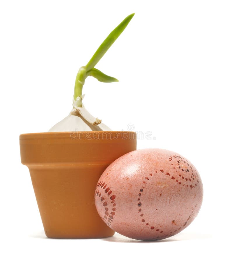 Colored Easter Egg and Garlic Sprouts Stock Photo - Image of easter ...