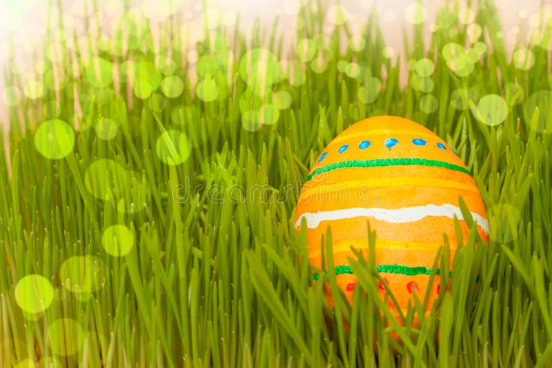 Colored Easter Egg in Grass with Boke Stock Image - Image of spotted ...