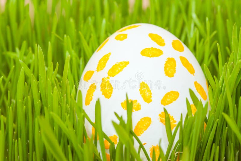 Colored Easter Egg in Grass Stock Photo - Image of easter, spotted ...
