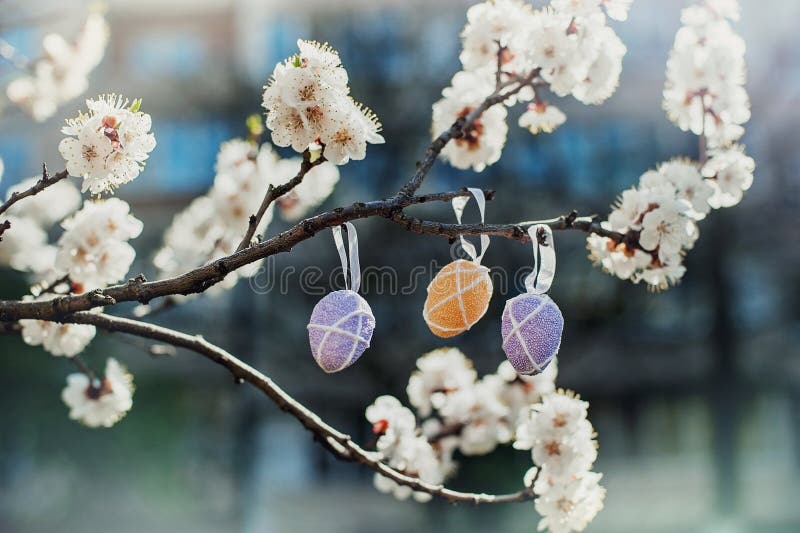 Colored Easter Eggs on a Cherry Tree,Easter Composition Stock Image ...