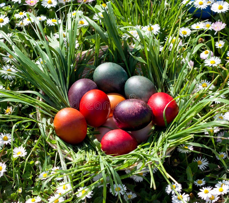 Colored easter eggs stock photo. Image of decoration - 39132298