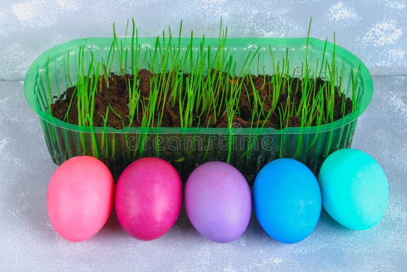 Colored Easter Eggs with Green Grass on a Gray Concrete Background ...