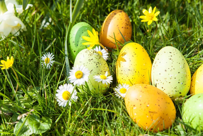 Colored Easter Eggs Hidden in Flowers and Grass Stock Image - Image of ...