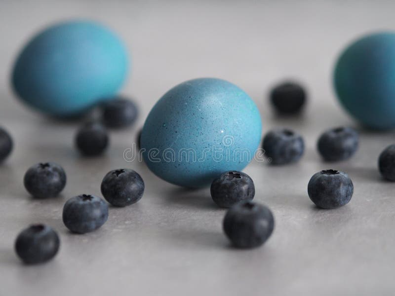 Colored egg with berries stock image. Image of purple - 238179667
