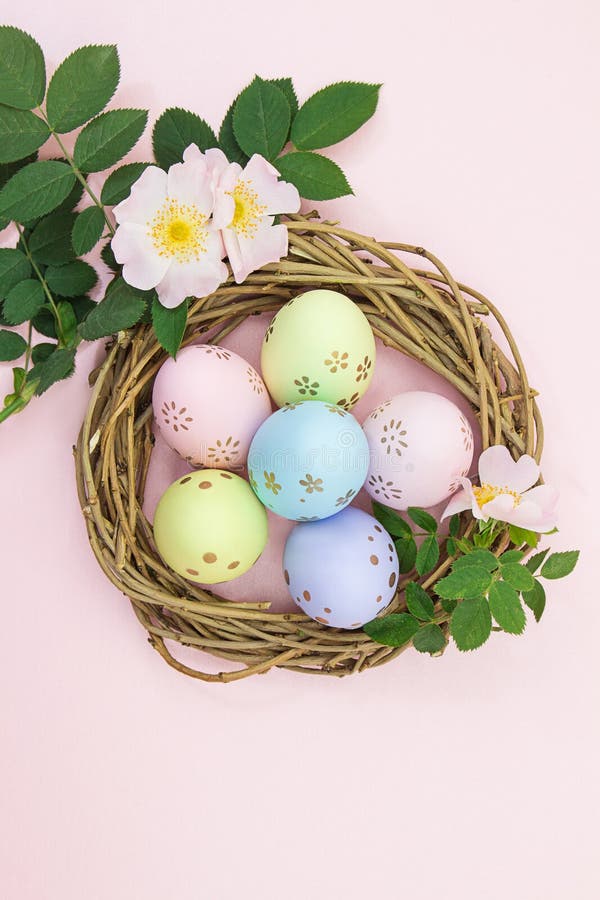Colored Eggs in Nest of Branches with Cherry or Apricot Branch Stock ...