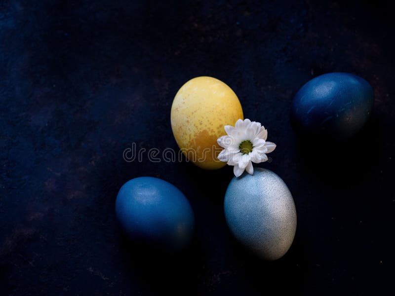Colored Eggs, and a Single Daisy Flower on the Table - Easter Eggs ...