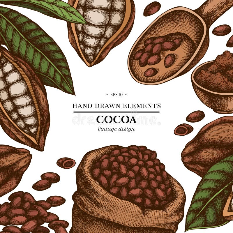Colored Elements Design with Cocoa Beans, Cocoa Stock Vector ...