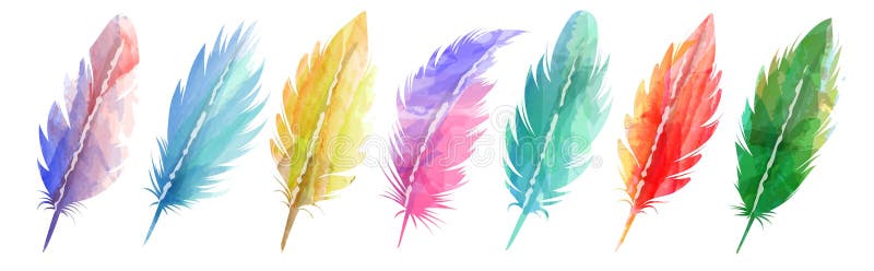 Colored feather set stock vector. Illustration of design - 344664778