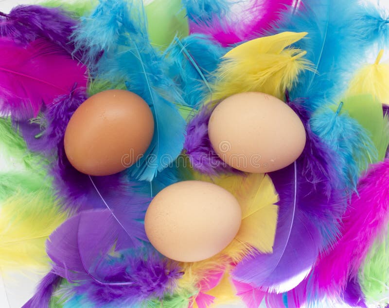 Colored Feathers and Eggs, Interesting Background about Easter Stock ...
