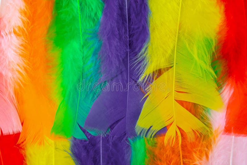 Colored Feathers in Various Combinations, Children`s Toy Stock Image ...