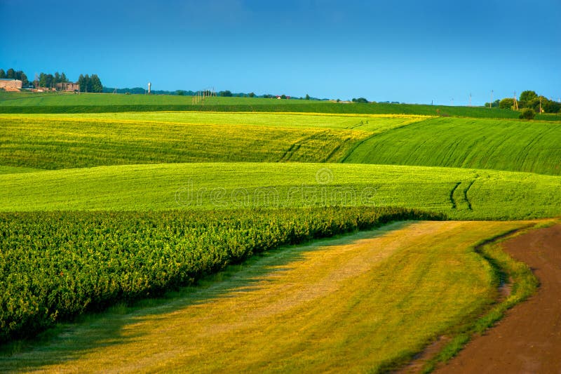 Colored Fields of Agricultural Crops Lines and Field Road Stock Photo ...