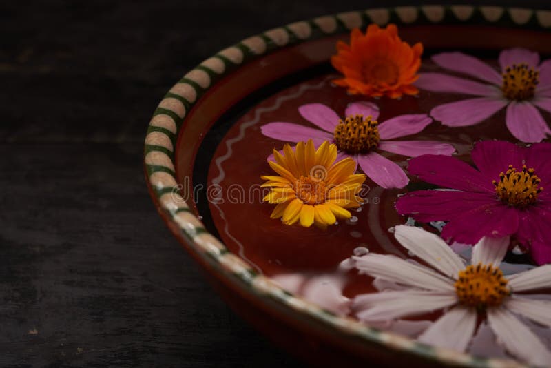 Colored Flowers in a Bowl of Water on the Table Stock Image - Image of ...