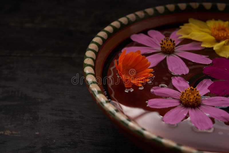 Colored Flowers in a Bowl of Water Stock Image - Image of beautiful ...