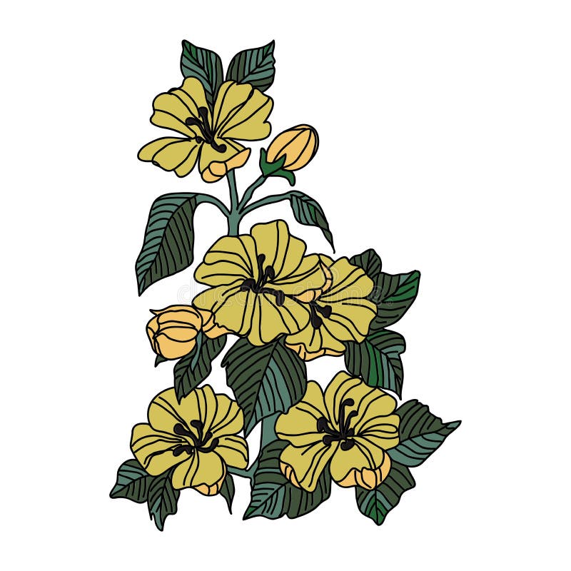 Colored Flowers Drawing with Line-art on White Backgrounds Stock Vector ...